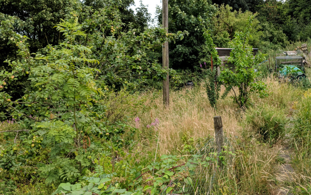 Allotments Law and responsibilities - The Secret Garden