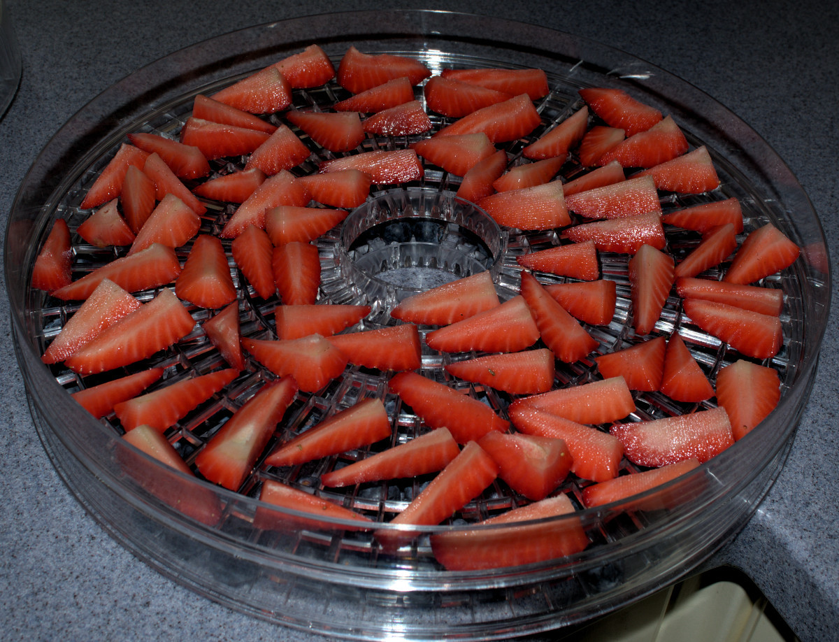 Drying soft fruits. 4 methods shown, which fruits produce the best ...