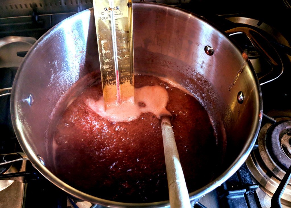 17 things you can do with redcurrants with a recipe for each one ...