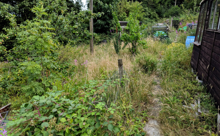 Allotments, how to snag one and what to expect when you get to the ...